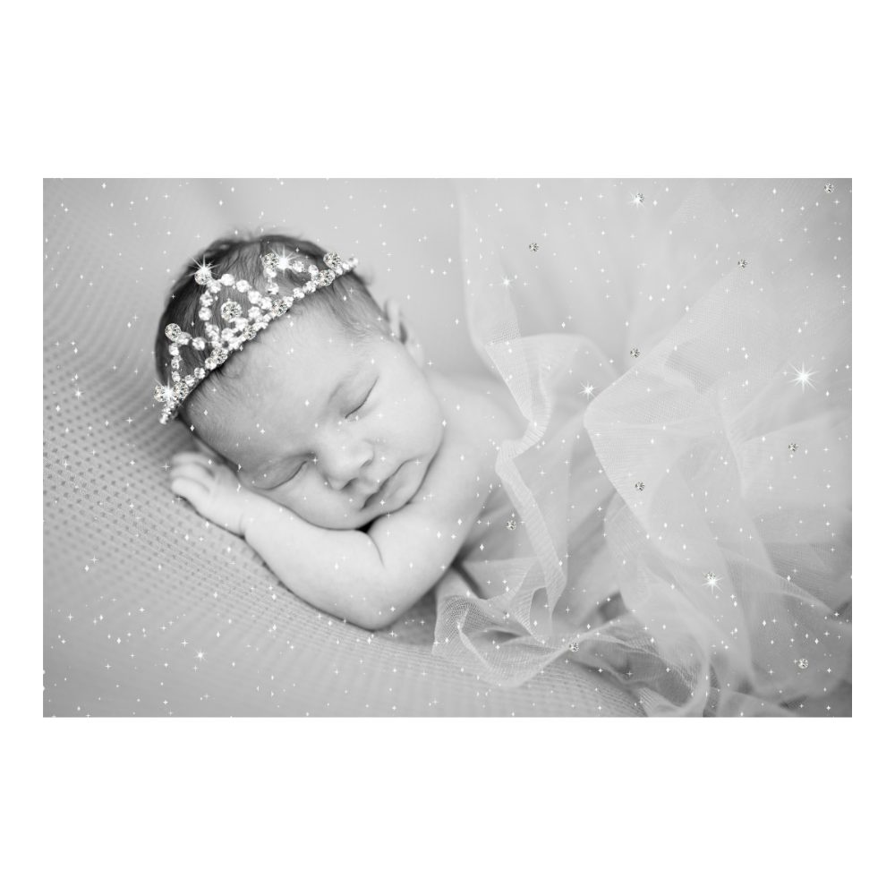 Diamond Dust Glitter Canvas with Crystal Detailing