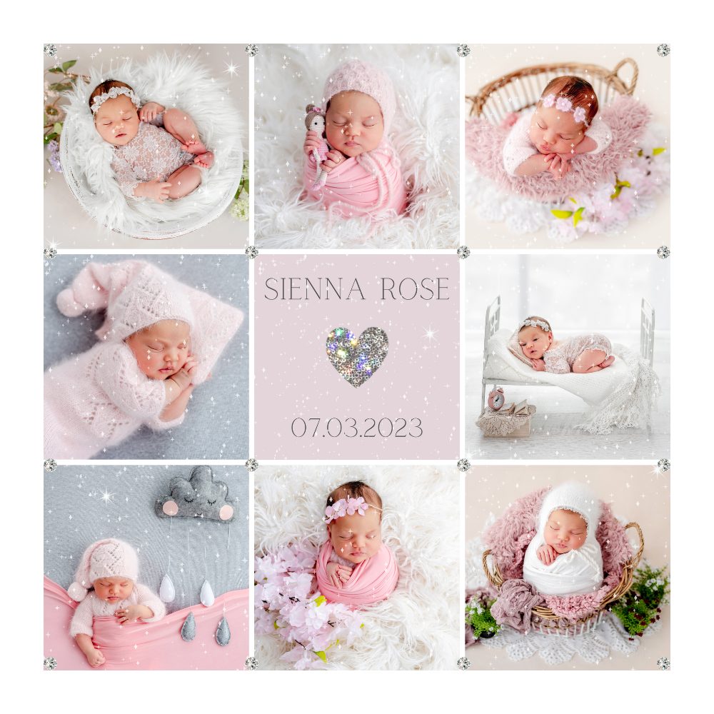 Diamond Dust Glitter Canvas with Crystal Detailing